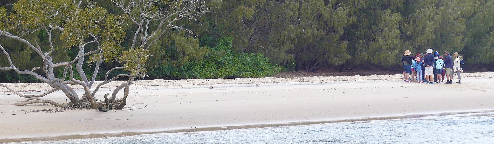 Buranda State School